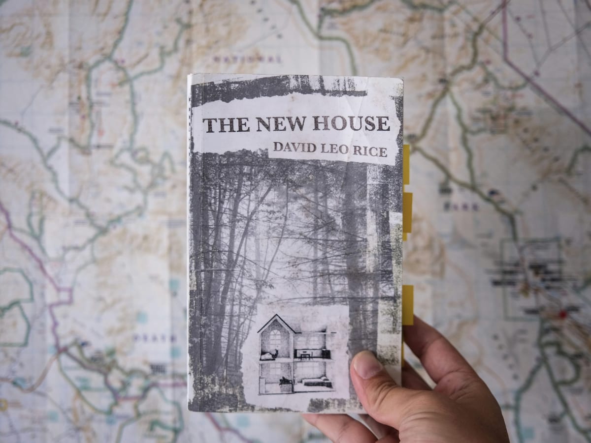 The New House by David Leo Rice